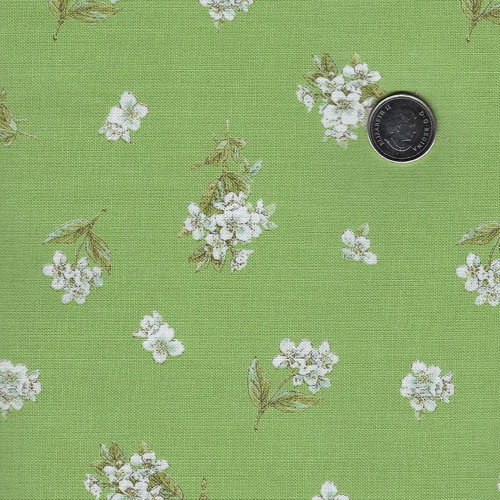 Peter Rabbit and Friends by Beatrix Potter for Riley Blake Designs - B ...