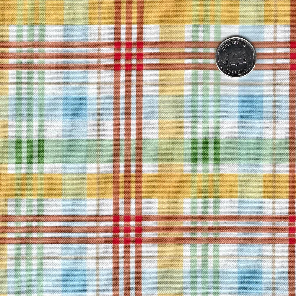 Winnie the Pooh by Echo Park for Riley Blake Designs - Background Whit ...